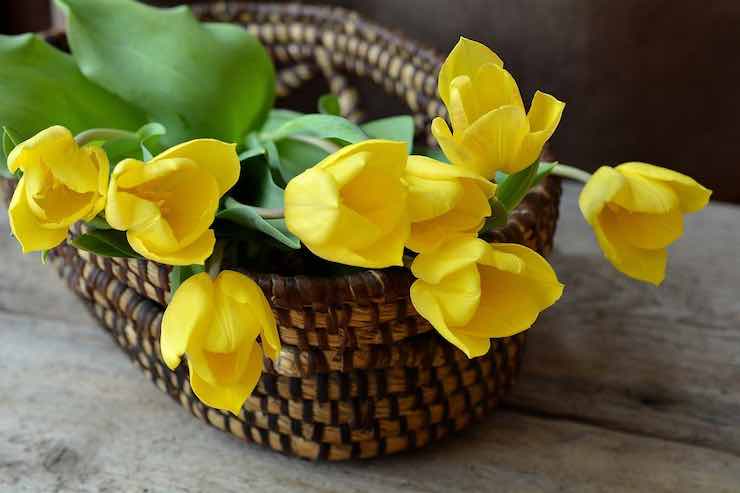 Fiori recisi come farli durare più a lungo con qualche trucchetto