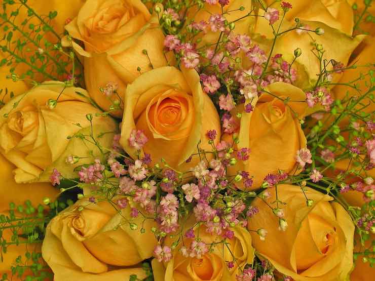 Fiori recisi come farli durare più a lungo con qualche trucchetto