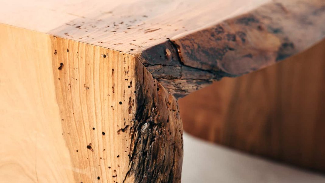 Tarli del legno: i rimedi fai da te per la casa, come intervenire