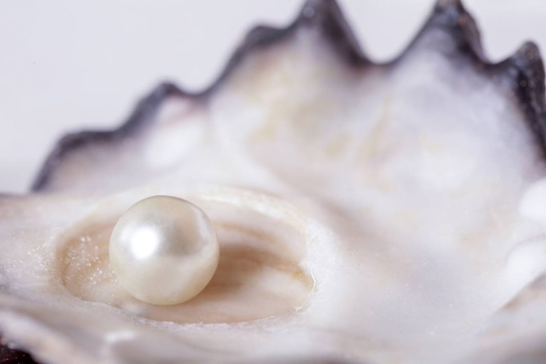 La gemma preziosa simbolo d'amore sin dall'antichità: la perla