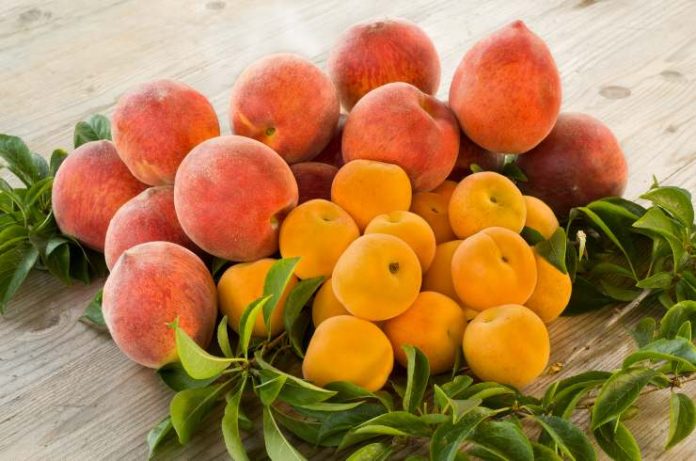 Cibi con meno di 50 calorie, spuntini ideali per non ingrassare