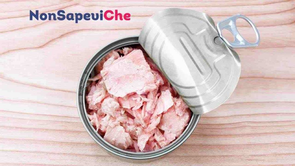 Tonno con bisfenolo, quale marca non comprare - NonSapeviChe Tonno con bisfenolo, quale marca non comprare - NonSapeviChe